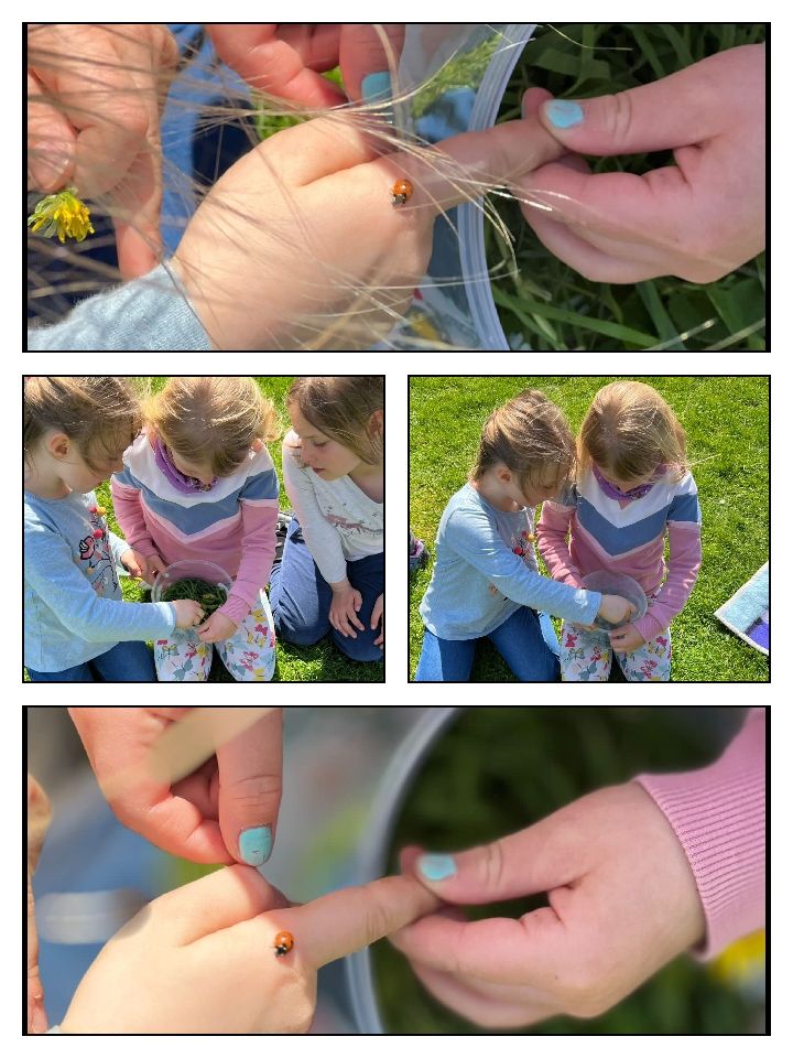 Verbandsgemeinde Westliche Börde